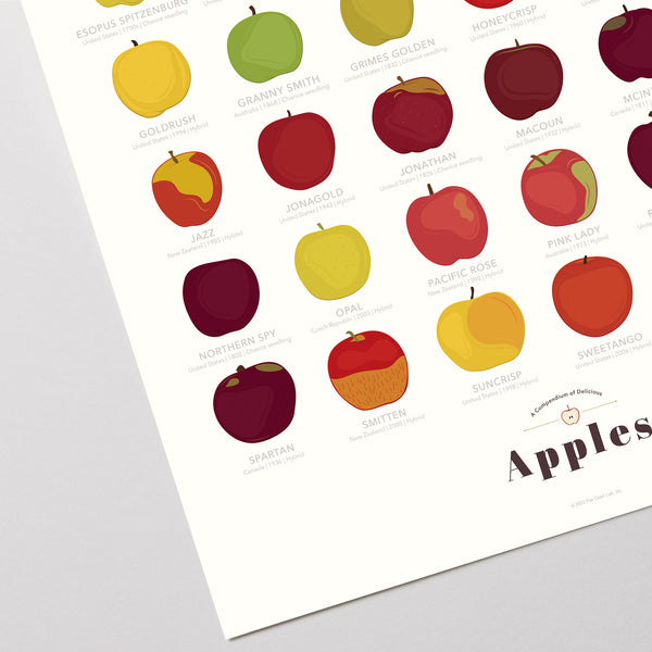 A Compendium of Delicious Apples – Pop Chart