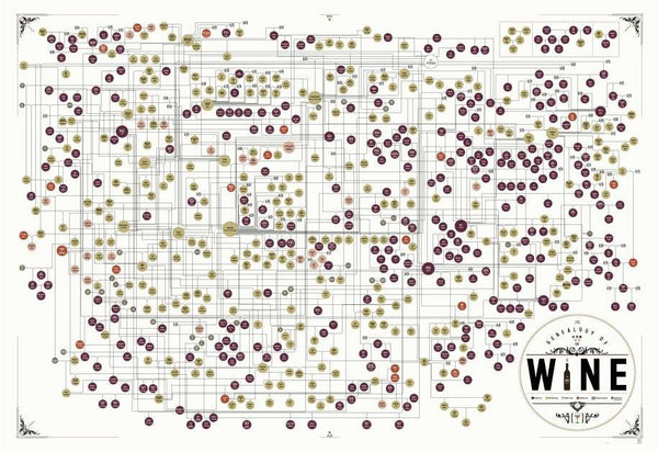 The Genealogy of Wine – Pop Chart