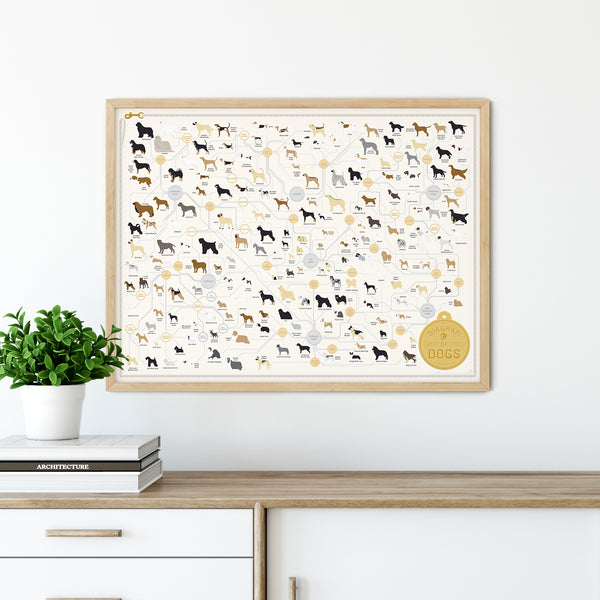 The Diagram of Dogs – Pop Chart