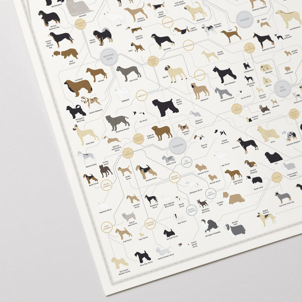 The Diagram of Dogs – Pop Chart