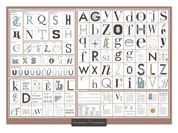 The Taxonomy of Typography – Pop Chart