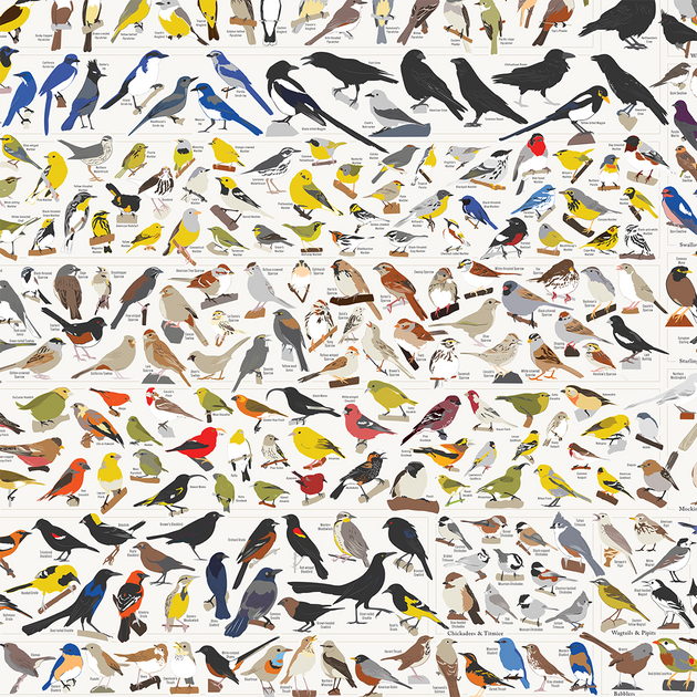 Major League Ballparks Scratch-off Chart – Pop Chart