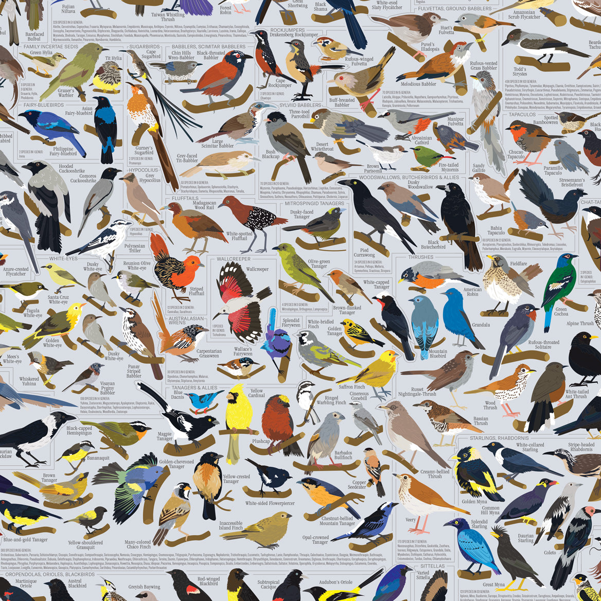 Nature – Pop Chart