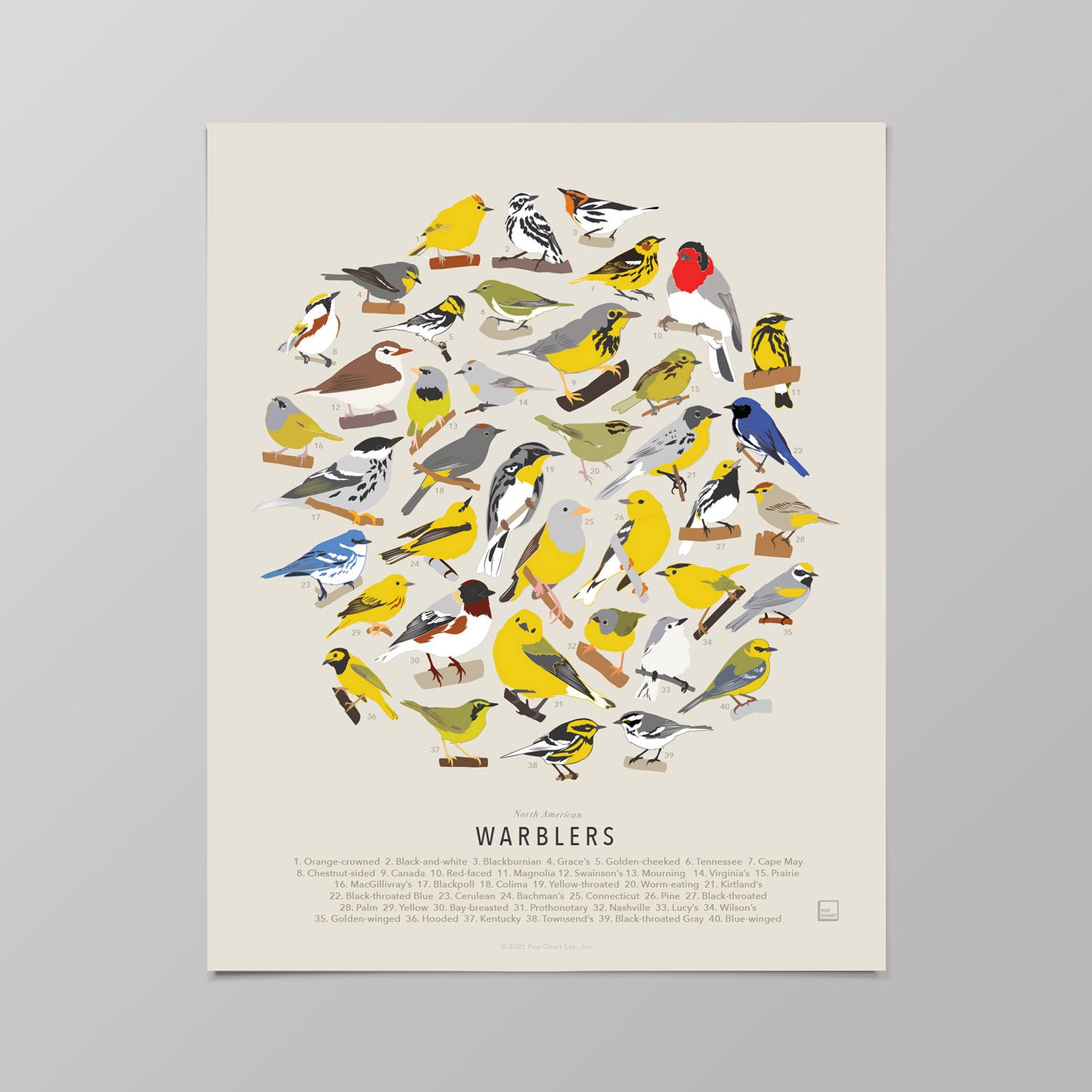 North American Birds Chart